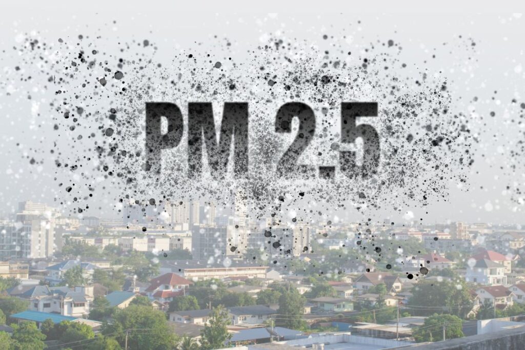 What Is PM 2.5 and How Can You Reduce Your Exposure ? - Kayapalat
